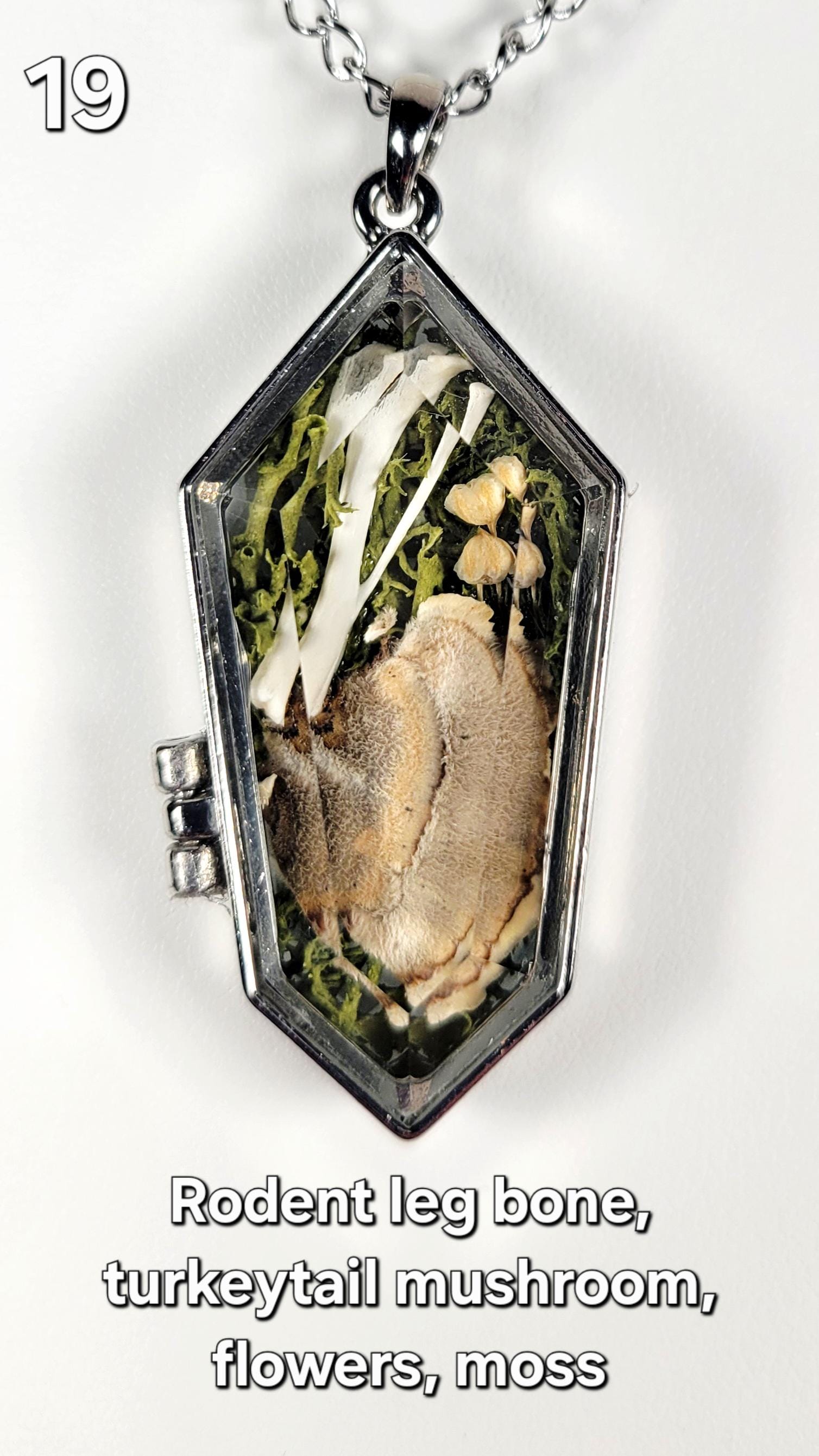 Bone & Botanical Shadowbox Coffin Locket Necklace, Stainless Steel ...