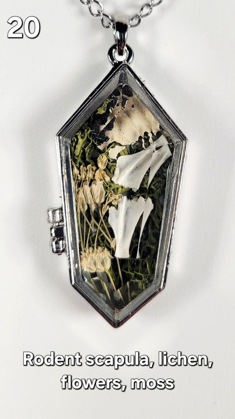 Bone & Botanical Shadowbox Coffin Locket Necklace, Stainless Steel ...