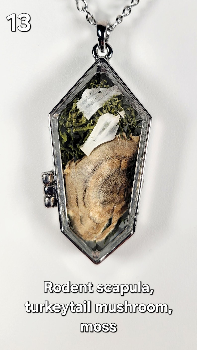 Bone & Botanical Shadowbox Coffin Locket Necklace, Stainless Steel ...