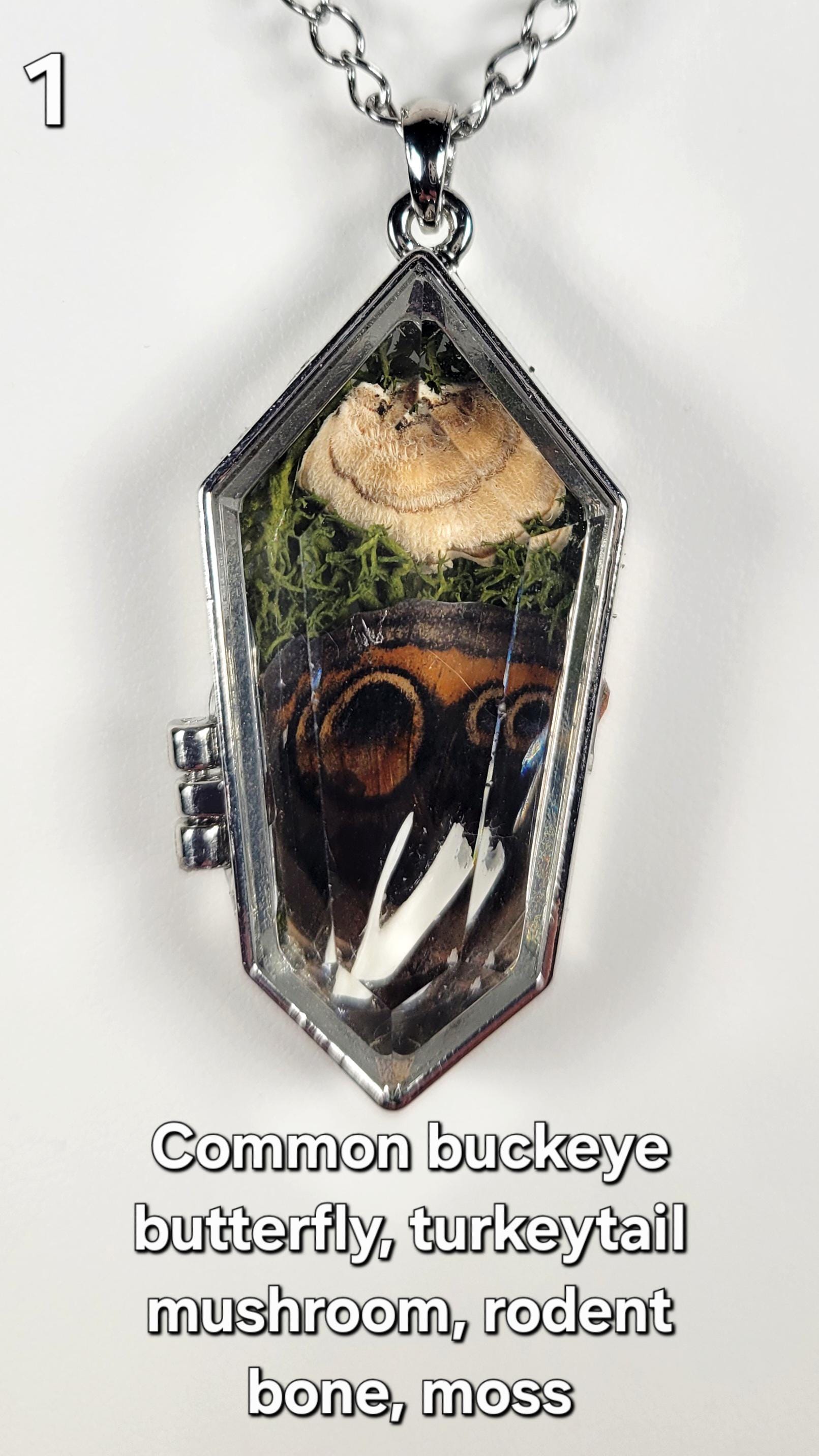 Bone & Botanical Shadowbox Coffin Locket Necklace, Stainless Steel ...