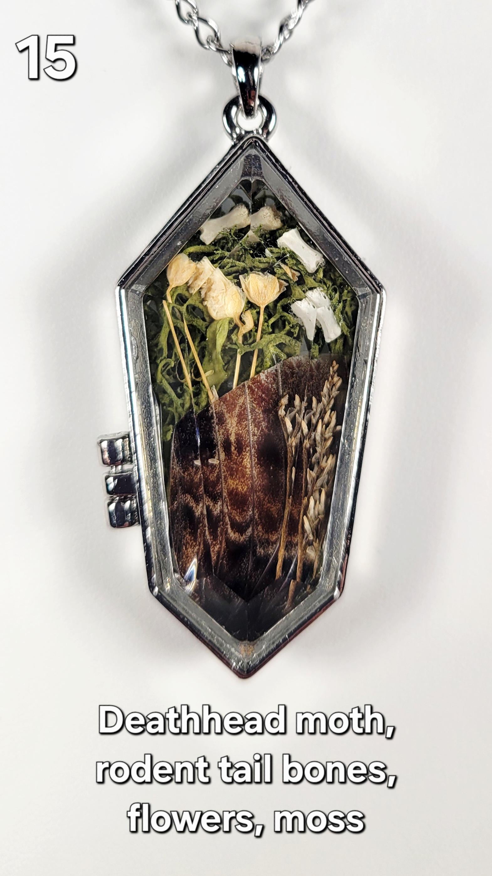 Bone & Botanical Shadowbox Coffin Locket Necklace, Stainless Steel ...