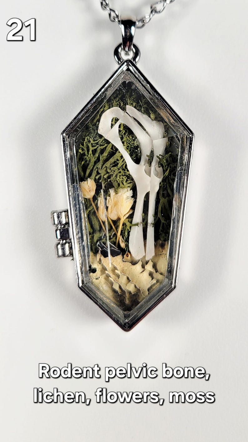 Bone & Botanical Shadowbox Coffin Locket Necklace, Stainless Steel ...