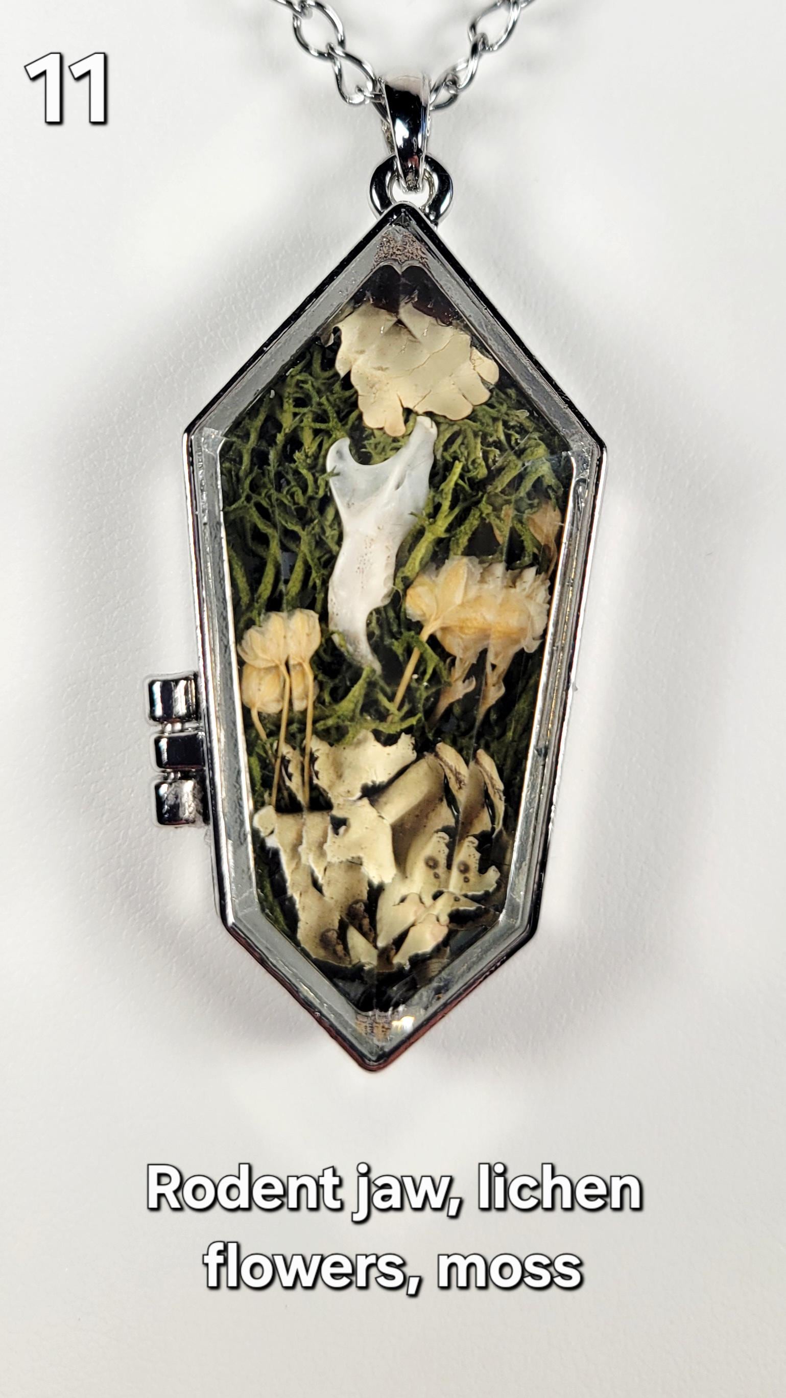 Bone & Botanical Shadowbox Coffin Locket Necklace, Stainless Steel ...