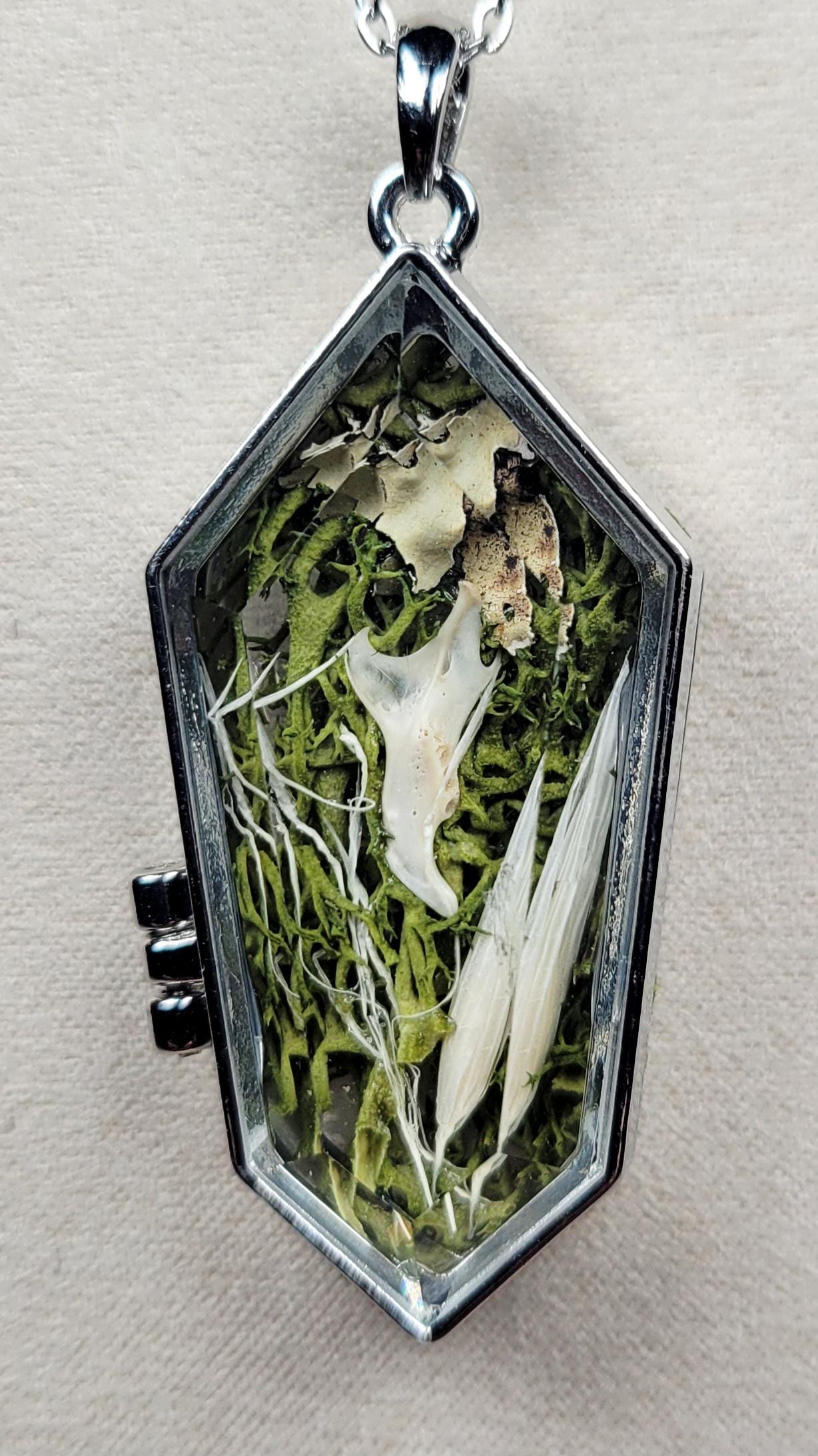 Bone & Botanical Shadowbox Coffin Locket Necklace, Stainless Steel ...