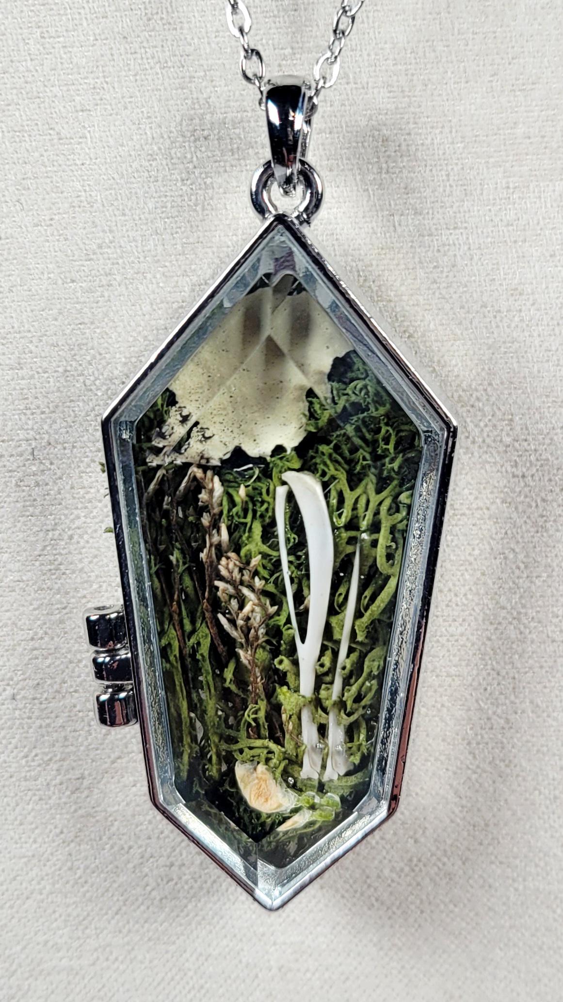 Bone & Botanical Shadowbox Coffin Locket Necklace, Stainless Steel ...