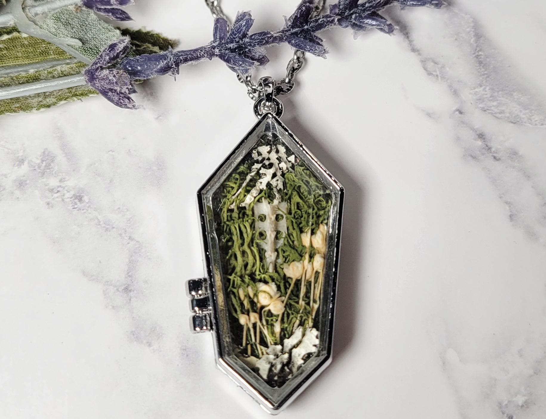 Bone & Botanical Shadowbox Coffin Locket Necklace, Stainless Steel ...