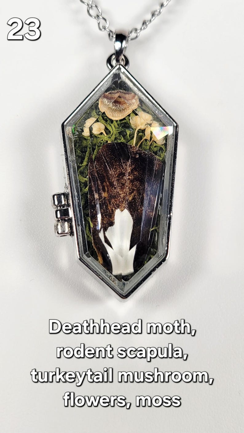 Bone & Botanical Shadowbox Coffin Locket Necklace, Stainless Steel ...