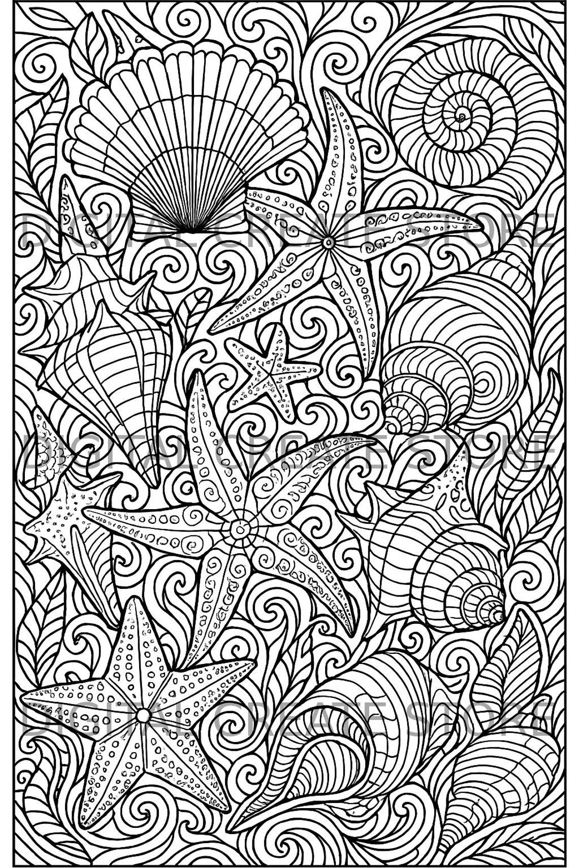 Colouring Stress Relief Printable A4 Sea Shells Theme - Etsy