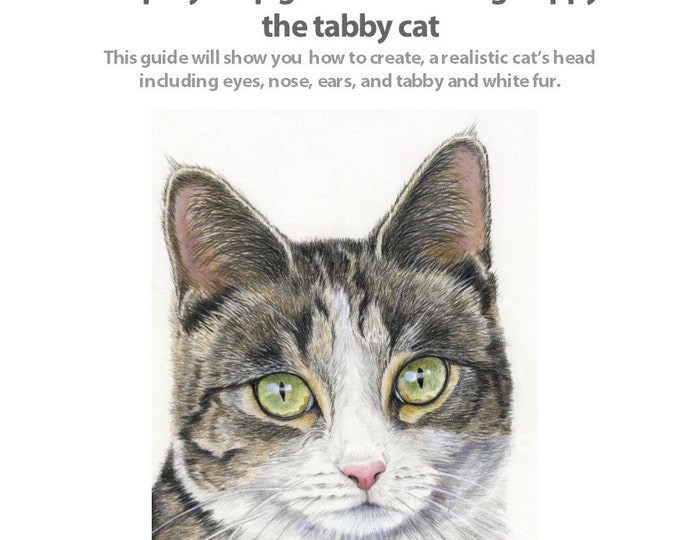 Step by Step Tutorial Drawing a Tabby Cat in Coloured Pencils - Etsy