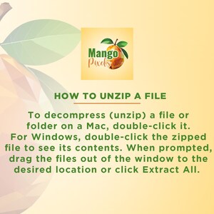 Senior 25 Pop Out and Show Em Svg, Pop Out Svg, Cricut, Sublimation ...