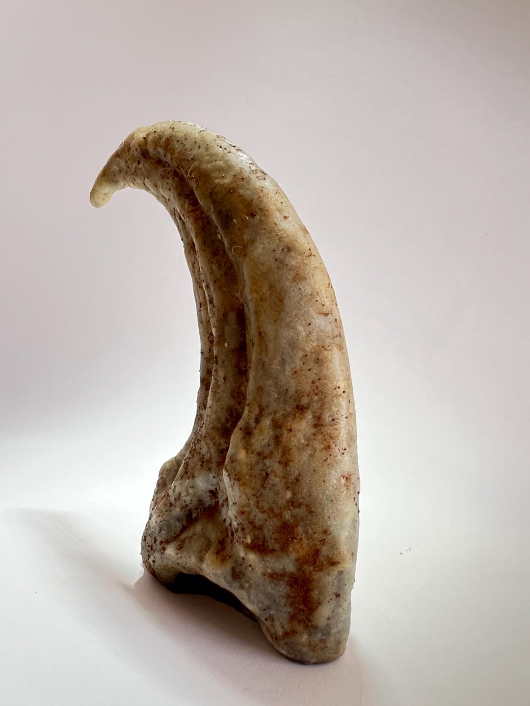 3D Printed Velociraptor Claw – Resin Sculpture With Light-up Base ...