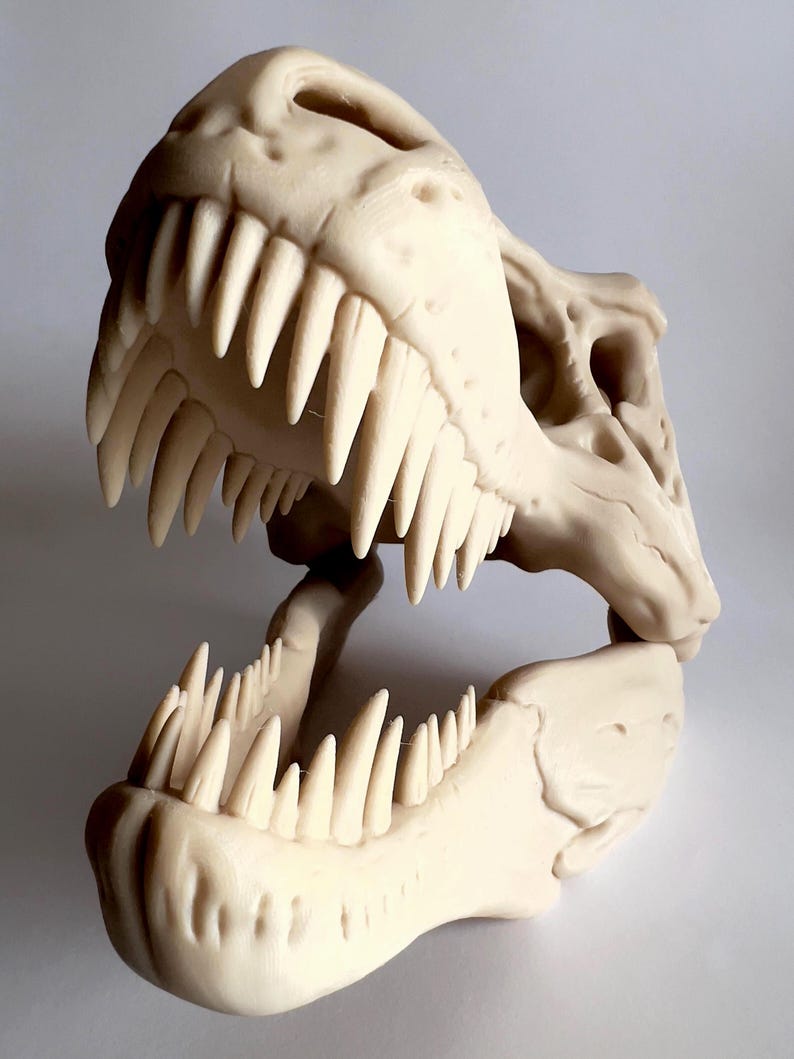 3D Printed Dinosaur Skull – Realistic Hand-painted Fossil Replica ...