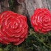 Rose Pavers to Add to Your Garden Decor and Large Garden Fairy - Etsy