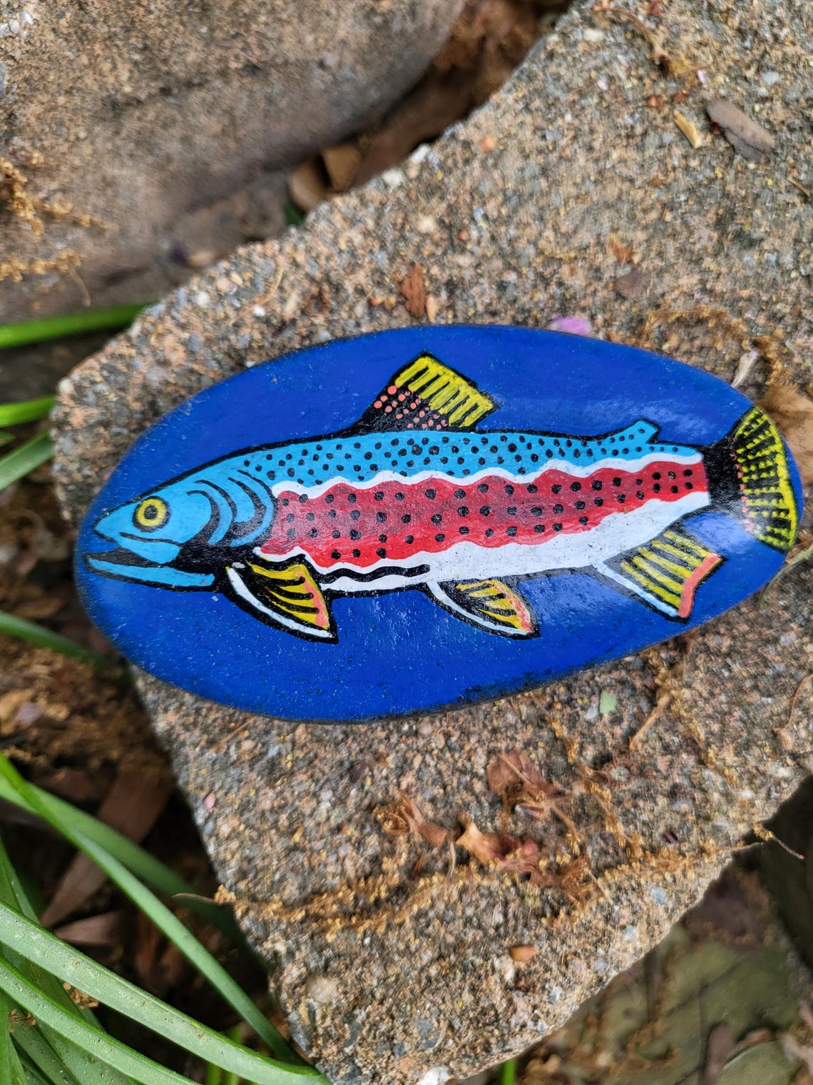 Fish Painted Rocks - Etsy