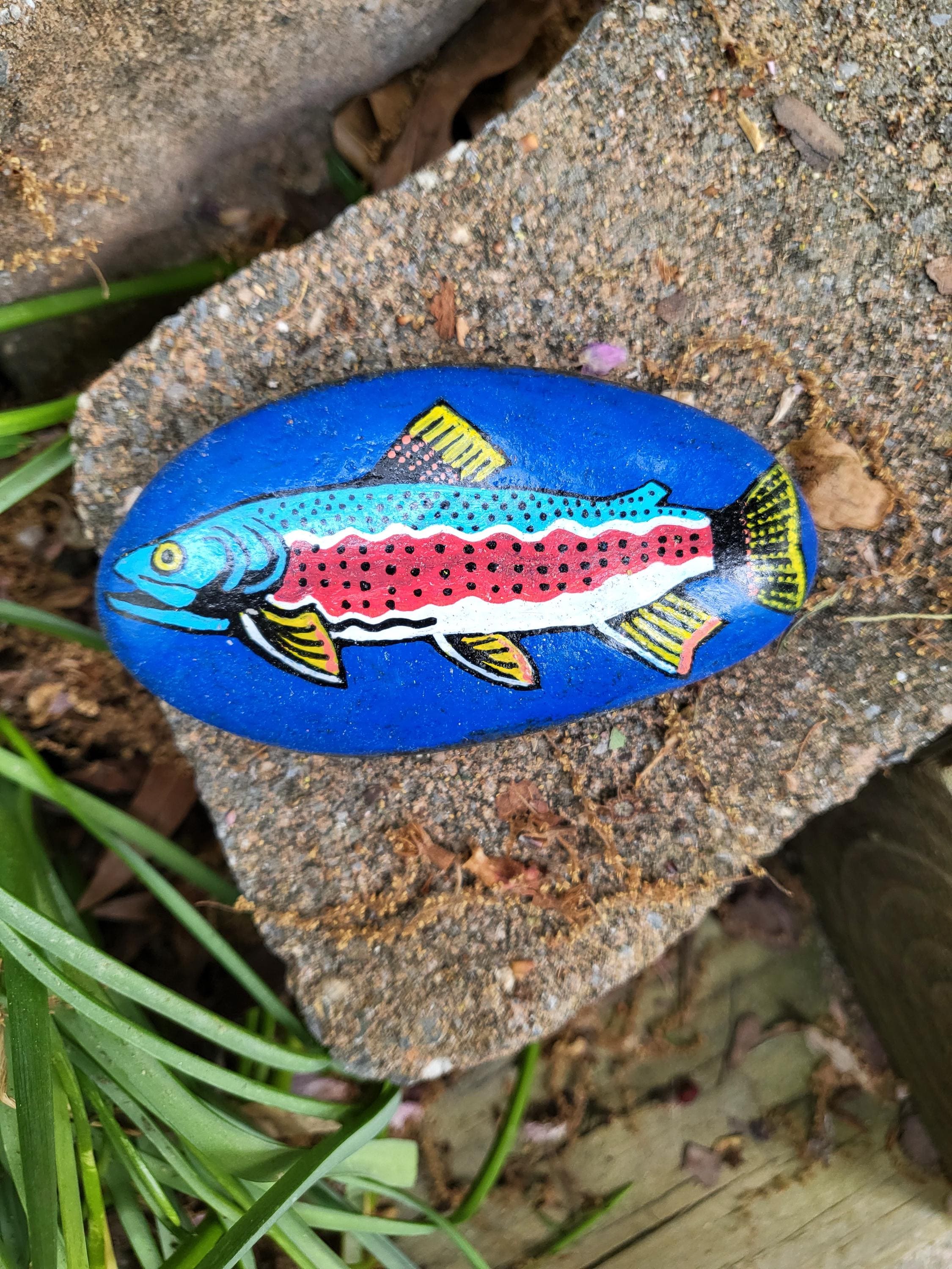 Fish Painted Rocks - Etsy