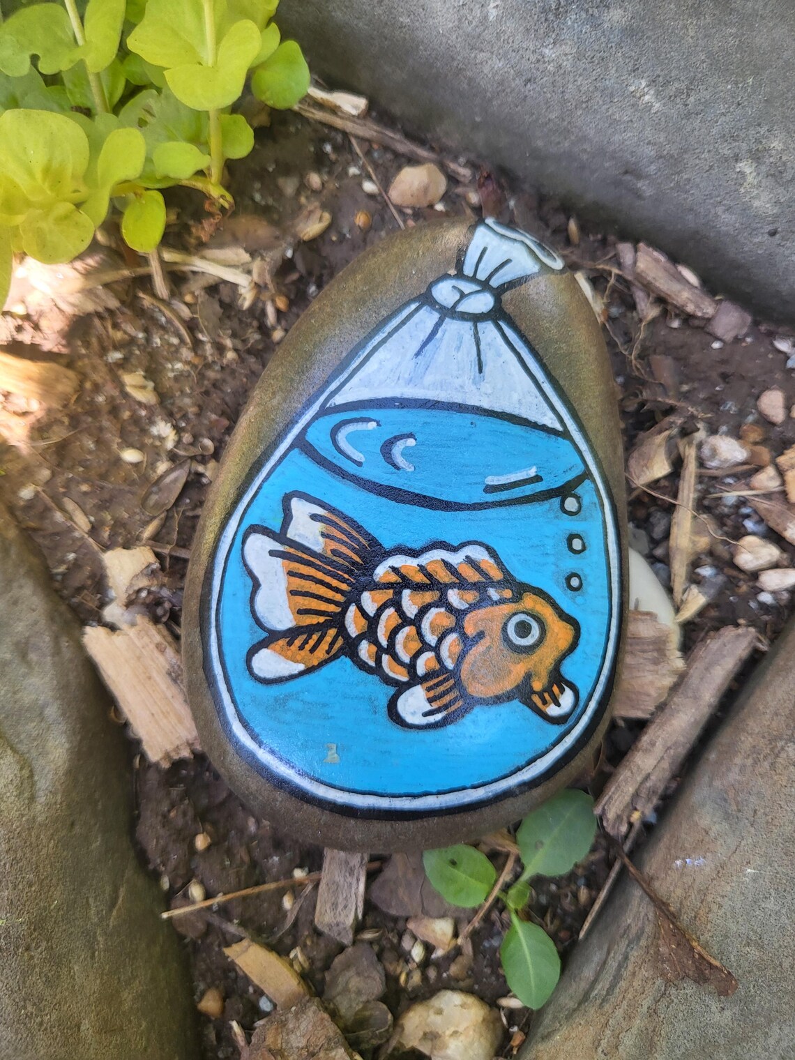 Fish Painted Rocks - Etsy