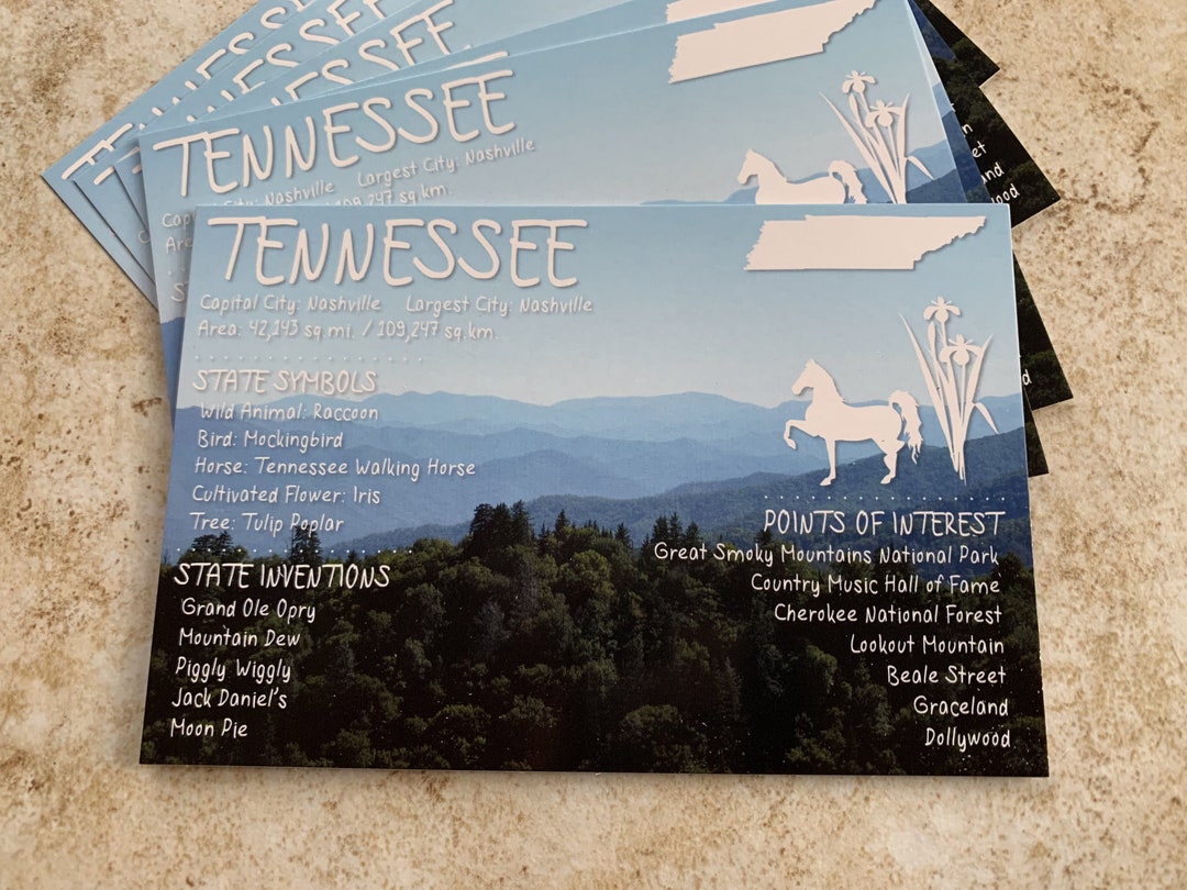 Tennessee USA State Postcard - Etsy
