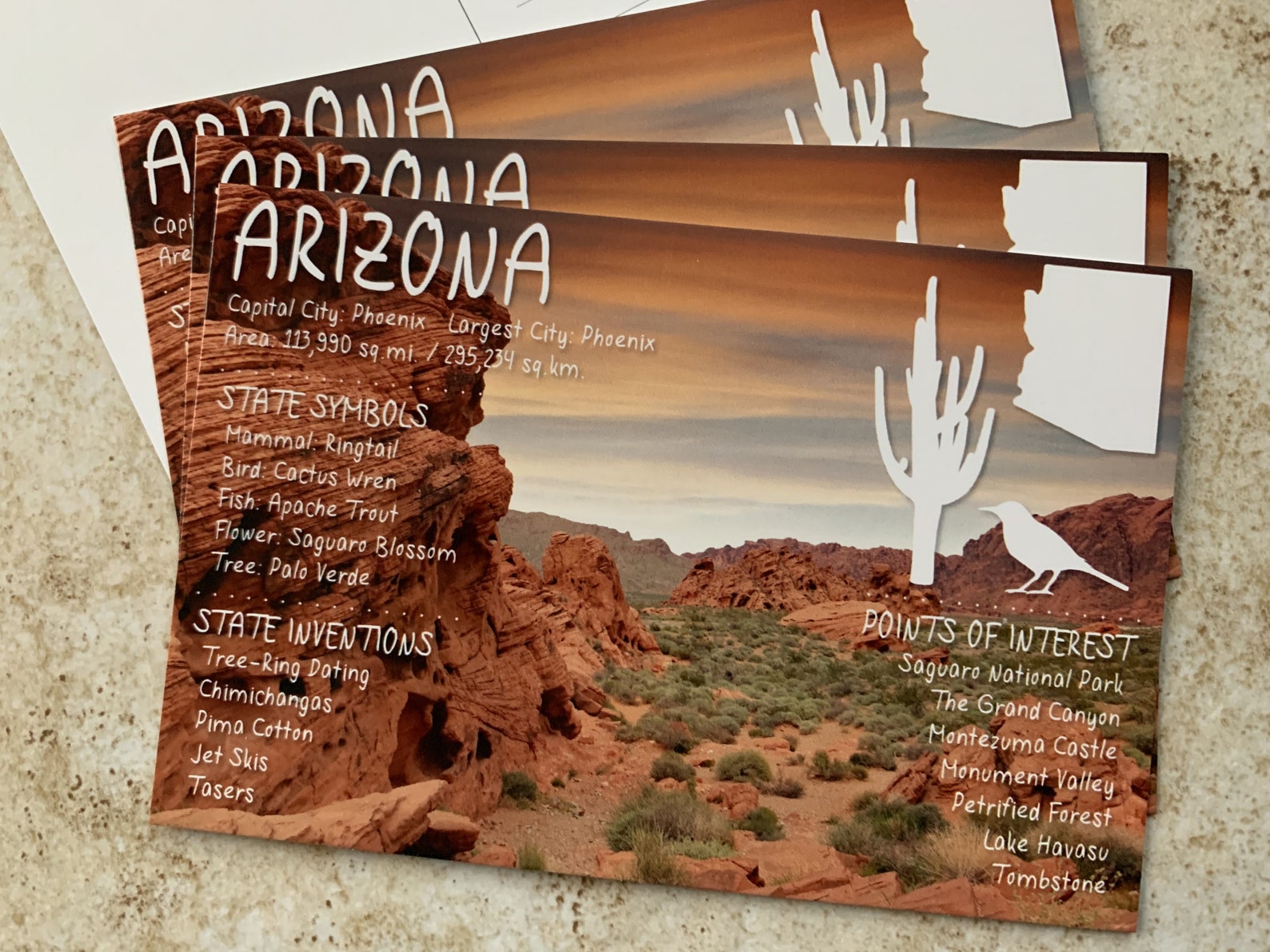 Arizona USA State Postcard | Etsy