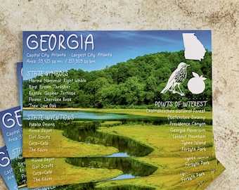 Georgia State Postcard. - Etsy