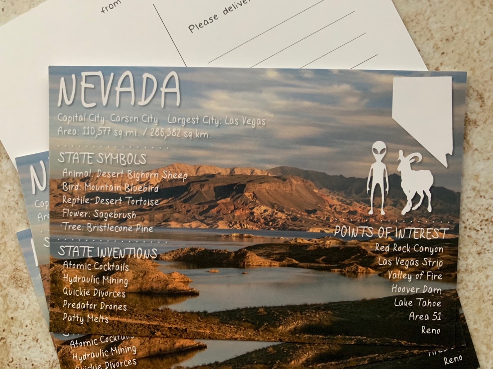 Nevada USA State Postcard - Etsy