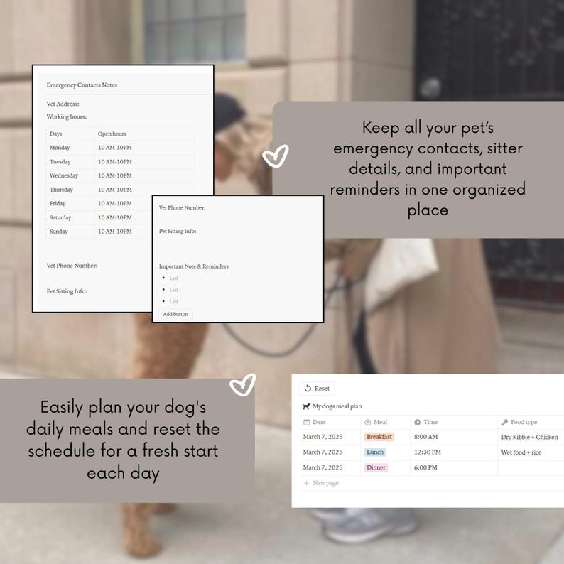 Notion Pet Care Planner, Digital Tracker (digital Download) - Etsy