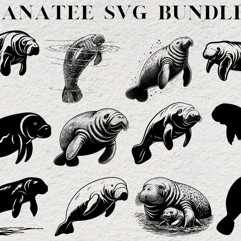 Manatee Svg - Etsy