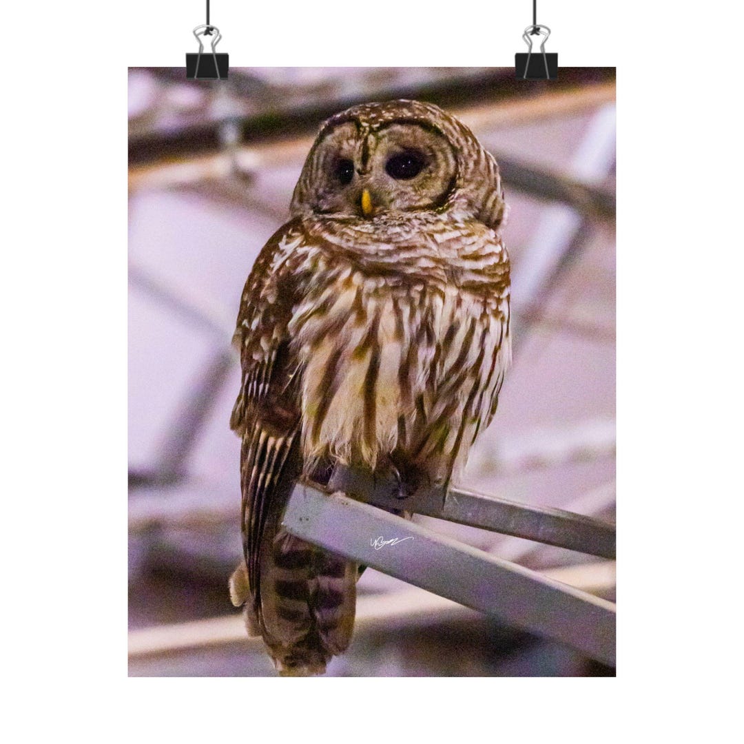 Majestic Owl Vertical Poster, Wildlife Art Print, Nature Decor, Owl ...