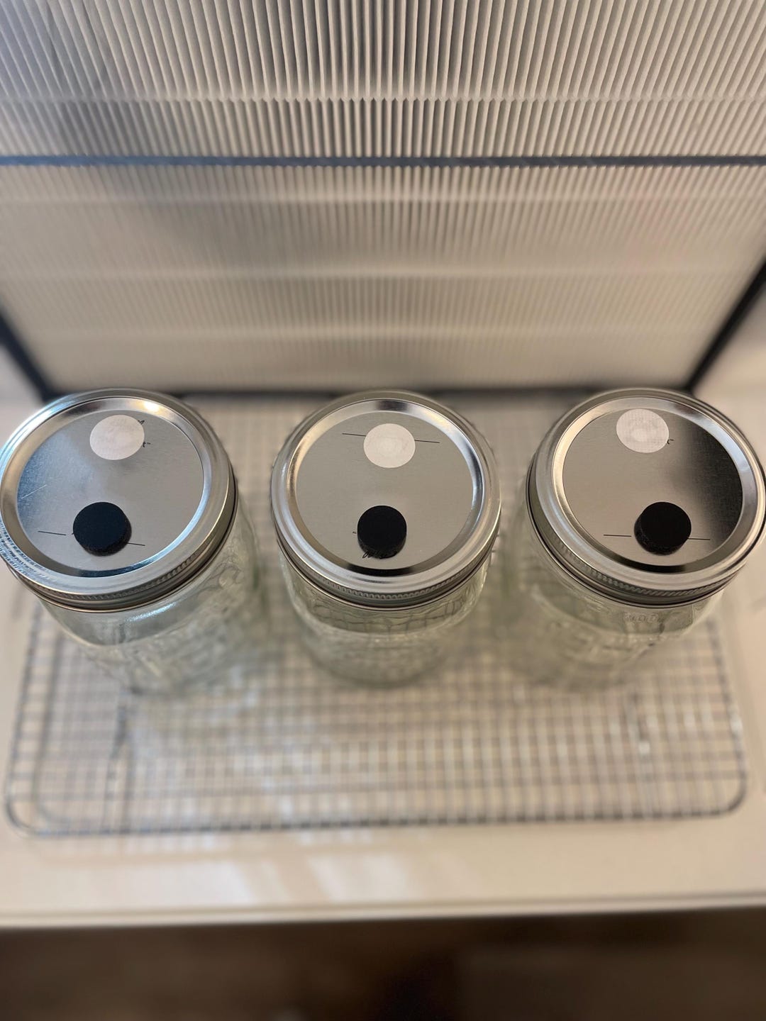 3x Metal Grain Spawn Jar Lids - Etsy