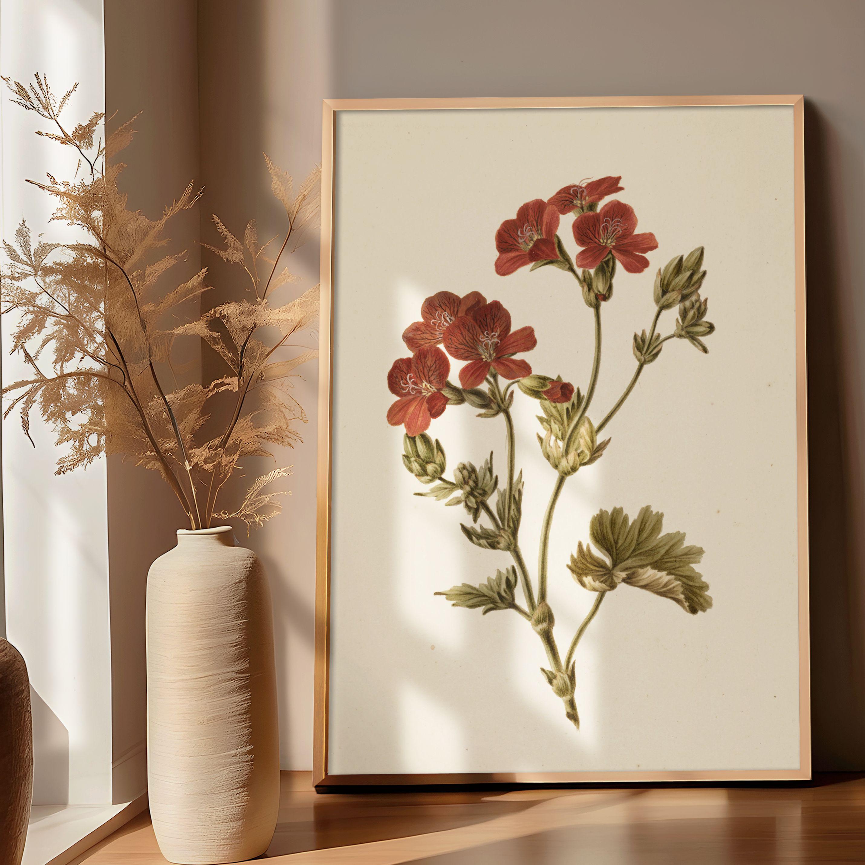 Vintage Red Geranium Flower Print | Victorian Botanical Wall Art ...