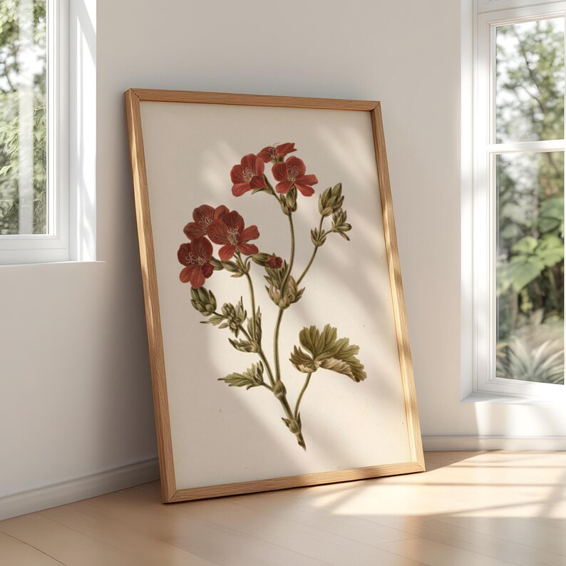 Vintage Red Geranium Flower Print | Victorian Botanical Wall Art ...