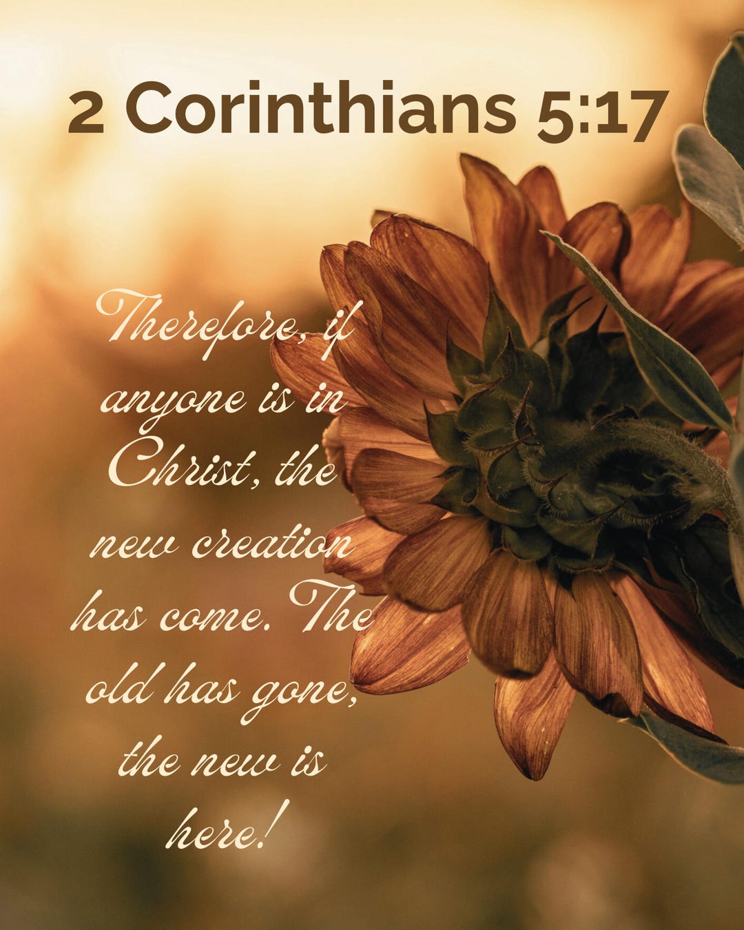 2 Corinthians 5:17 New Creation Bible Verse Print / Multiple Sizes (PDF ...