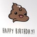 Poop Birthday Card, Inappropriate Birthday Card, You're the Sit, Adult ...
