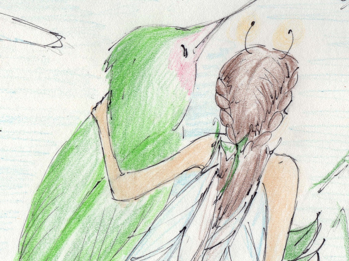 Fairy and Humming Bird Friends drawing card comes with | Etsy