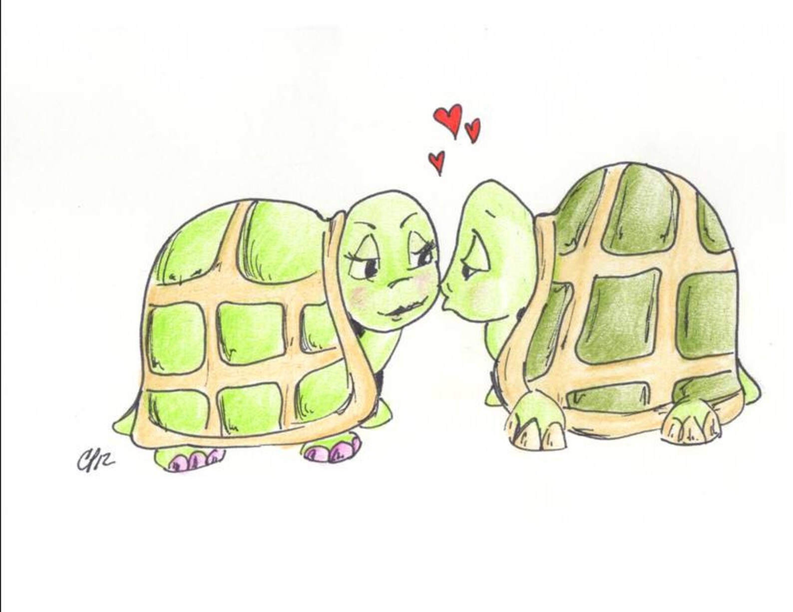 Tortuga amor feliz aniversario tarjeta de dibujo viene con - Etsy España