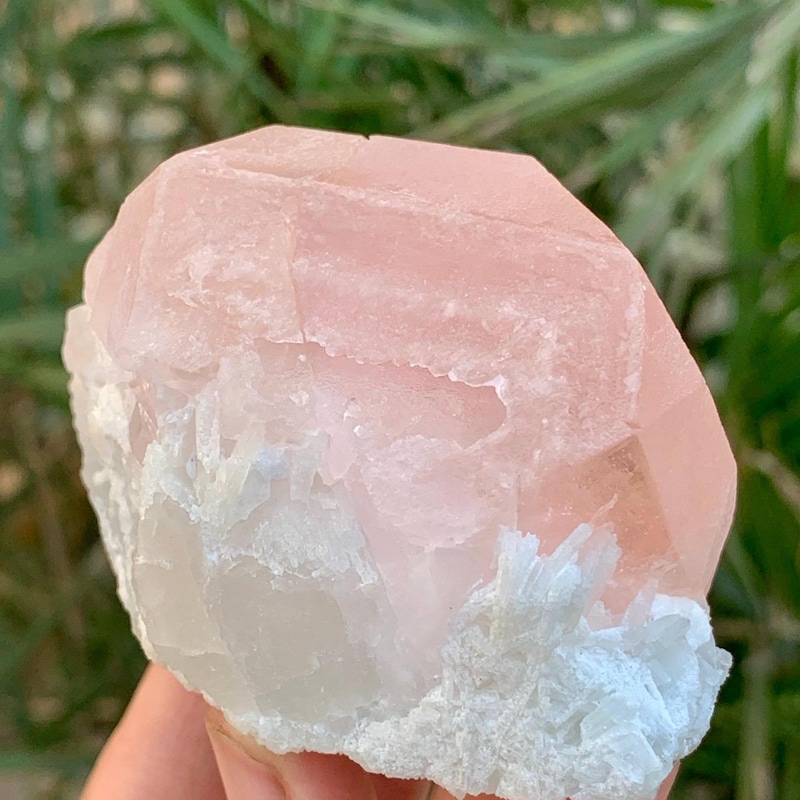 Raw Morganite - Etsy