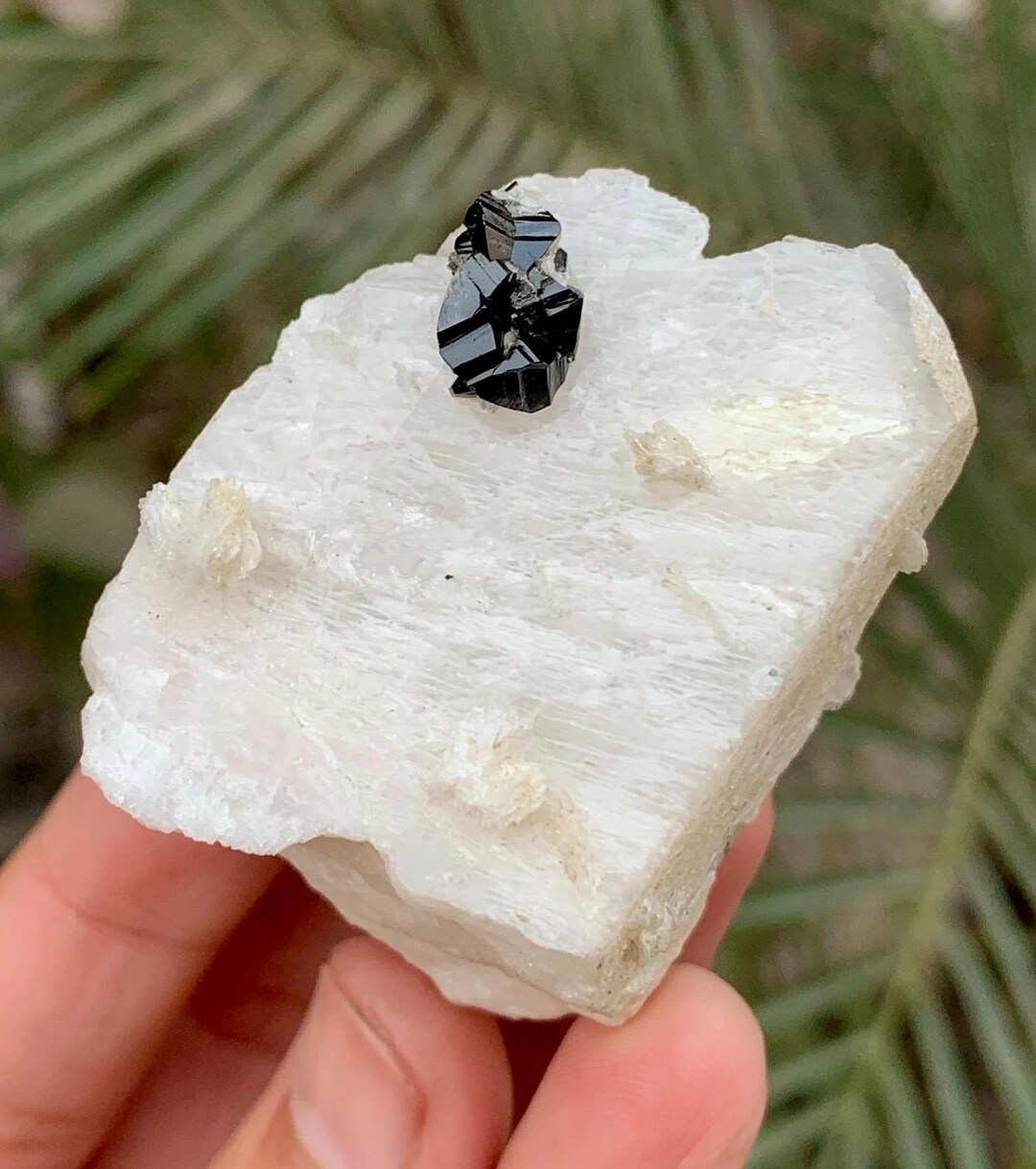Natural Cassiterite Specimen, Flower Shape Cassiterite Specimen From ...