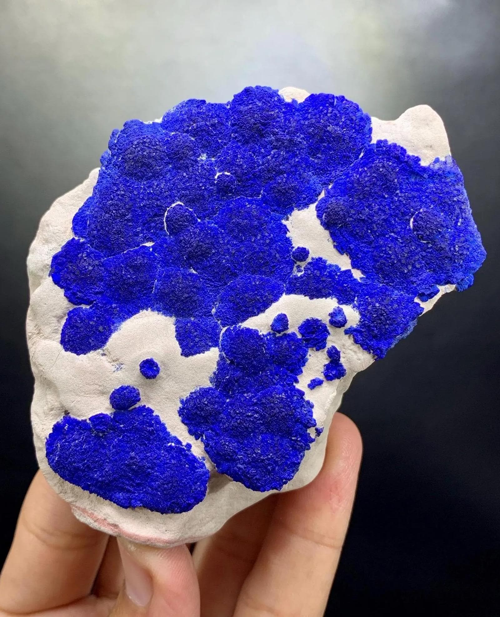 Natural Deep Blue Color Azurite Suns on White Kaolinite Matrix Specimen ...