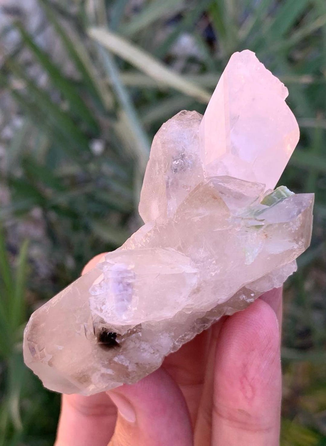 Natural Pink Color Morganite Crystal With Quartz Combined Specimen From ...