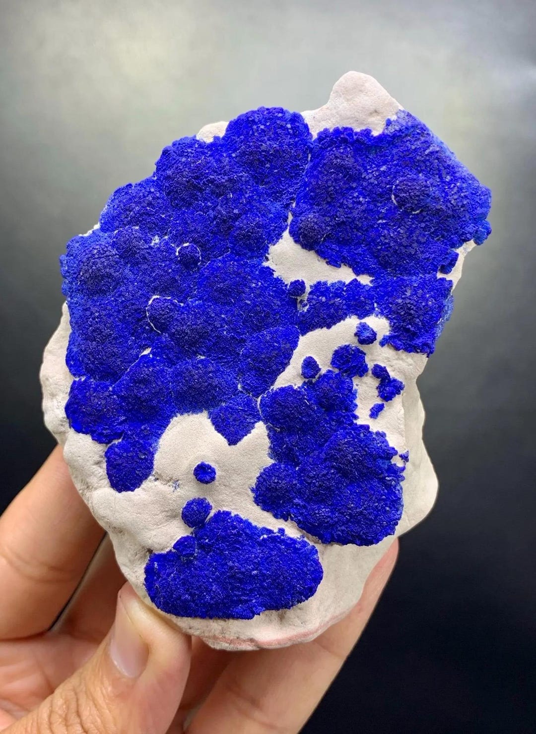 Natural Deep Blue Color Azurite Suns on White Kaolinite Matrix Specimen ...