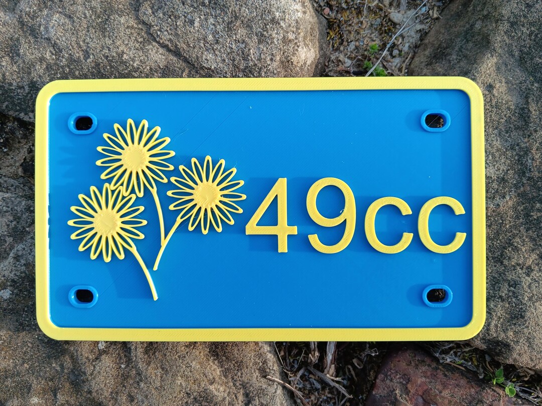 Unique License Plate - Scooter License Plate -scooter Plate - 49cc ...
