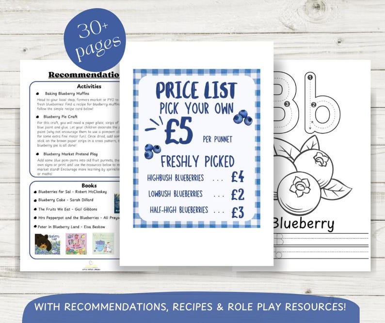 Bb is for Blueberry Literacy Pack | Digital Download | Preschool ...