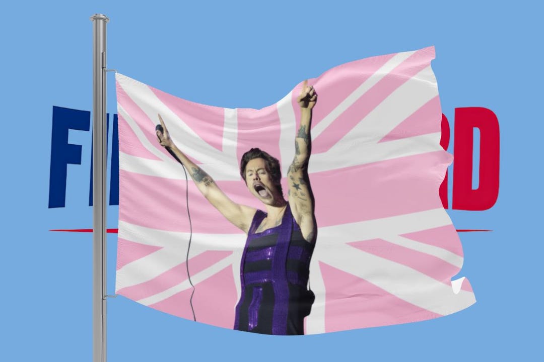 Custom Harry Styles Flag Banner, 5ft X 3ft, Harry Styles, Pink Flag ...