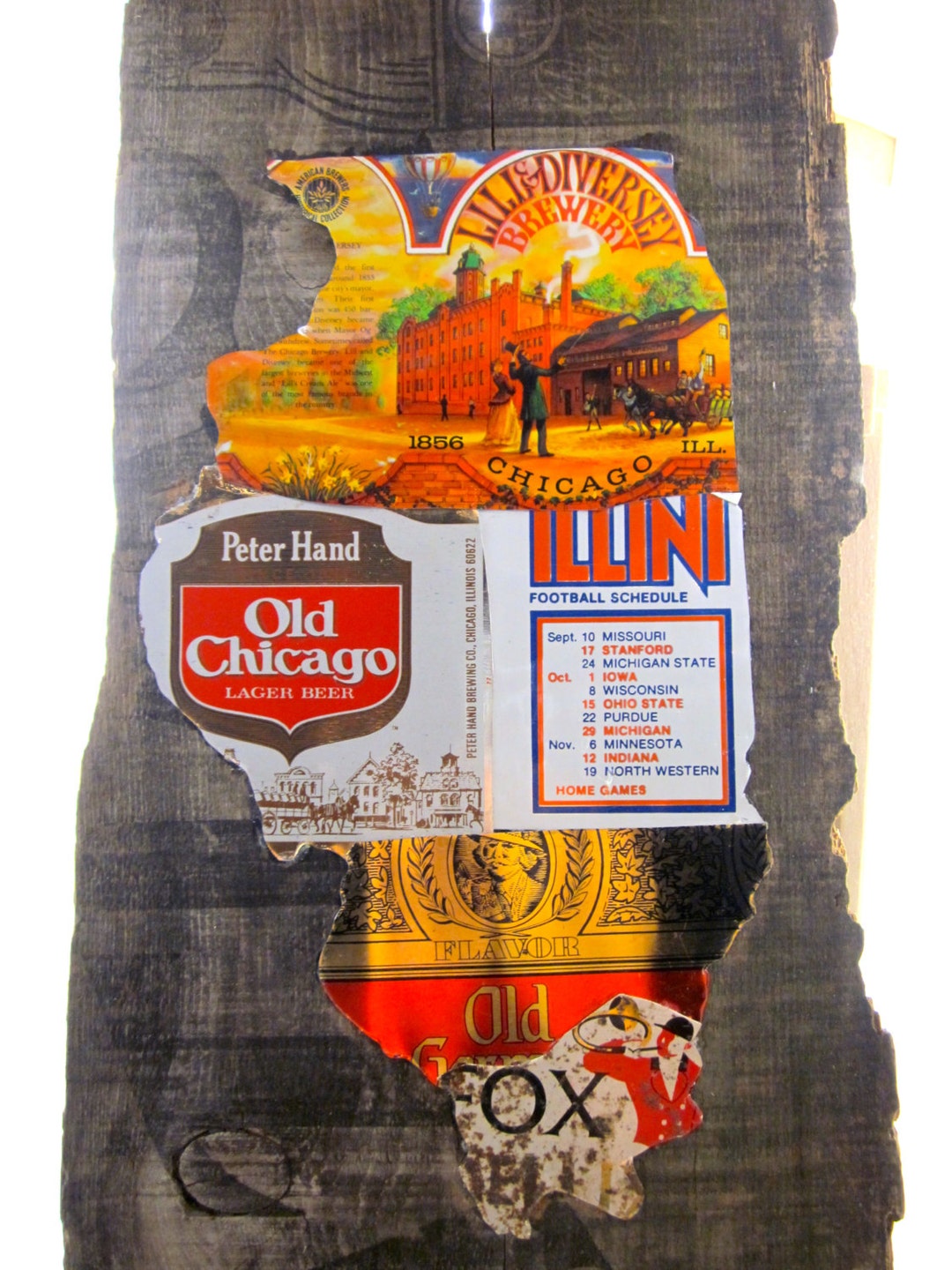 State of Illinois Beer Can Collage - Etsy