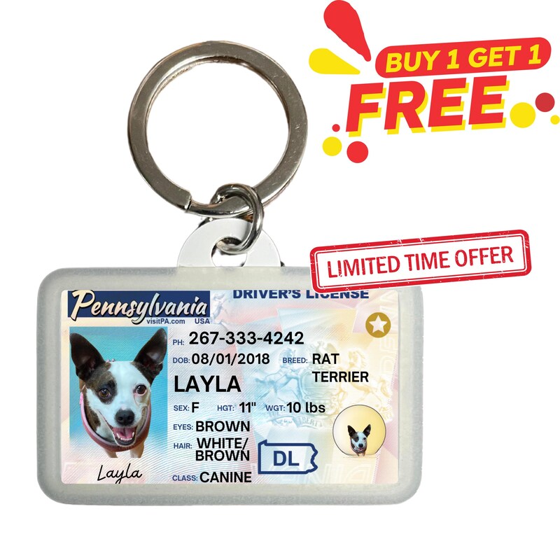 Dog Driver License - Etsy