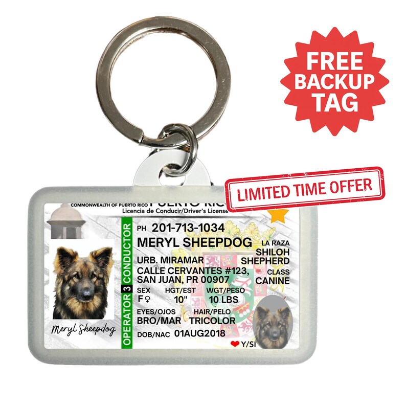 Custom Puerto Rico Driver License Pet ID Tag: Personalized Dog & Cat ...