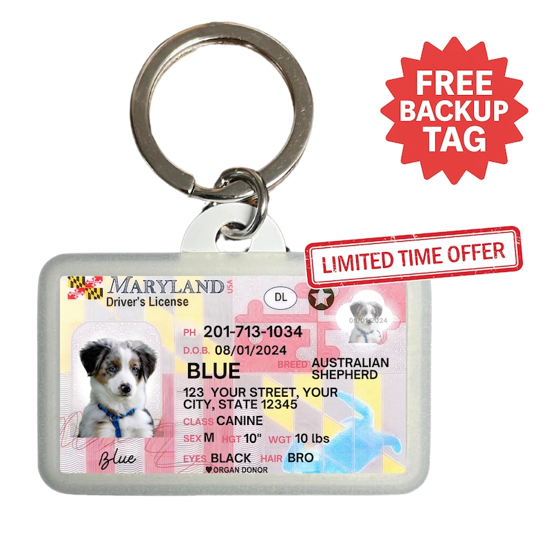 Custom License Charm - Etsy