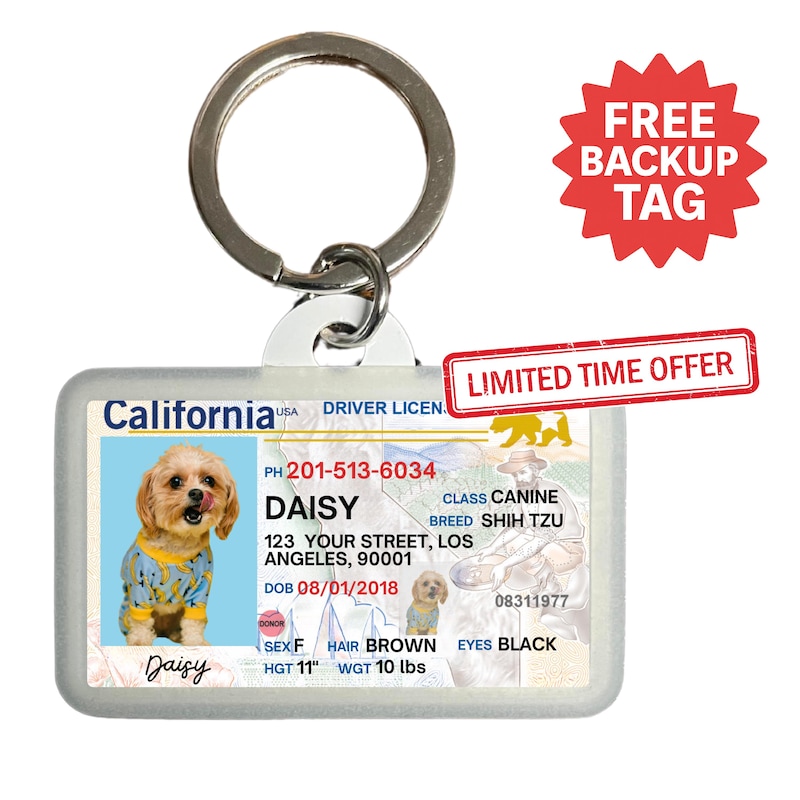 Driver's License for Dog - Etsy