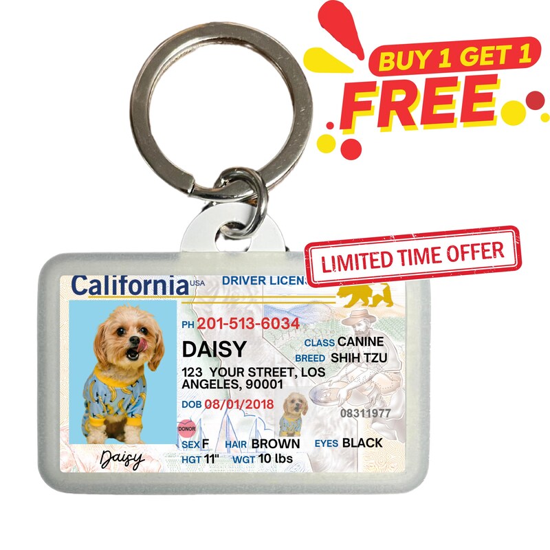 Dog Driver License - Etsy