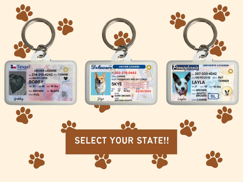 Custom California Driver License Pet ID Tag: Personalized Dog & Cat Tag ...
