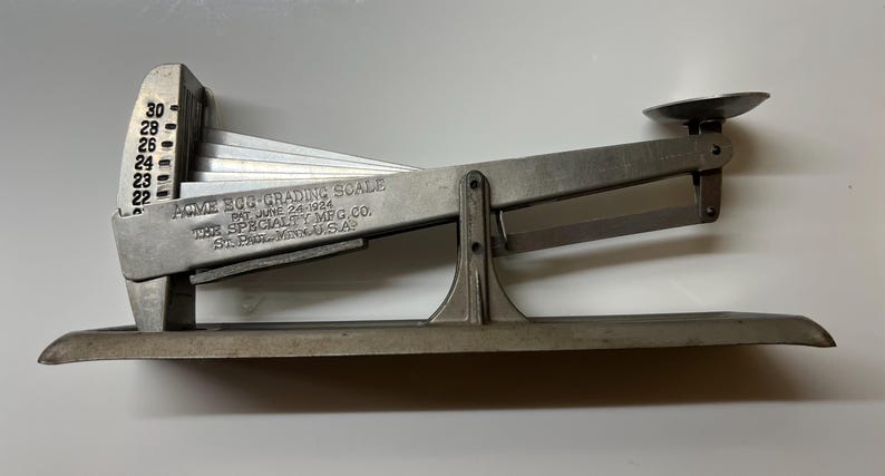 Acme Egg Grading Scale - Etsy